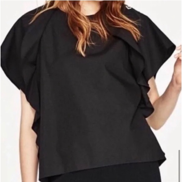 Zara | Tops | Nwot Zara Basic Collection Ruffle Sleeve Blouse | Poshmark